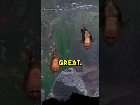 Searching for Fishy Fishy Fish | Monty Python's The Meaning of Life.