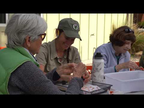 Learn about our native plant nursery!