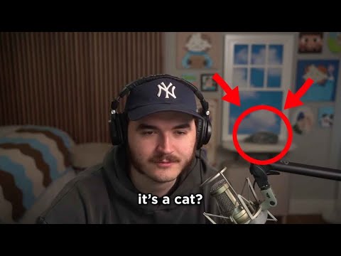 JSchlatt X Reader Imagines/One-Shots - Qoobo - Wattpad