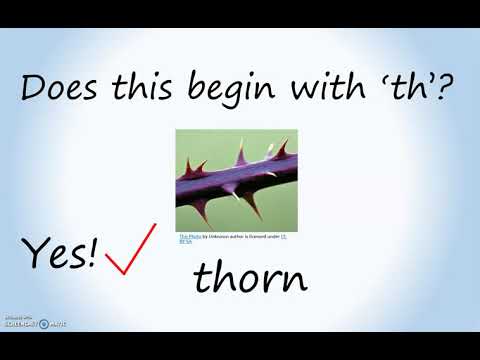 do these words begin with the digraph th?