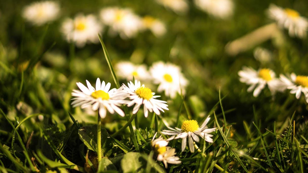 Funeral Services in Beloit WI Call (844) 311-3189