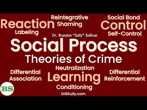 Social Process Theories of Crime | Social Learning, Social Control, Social Reaction