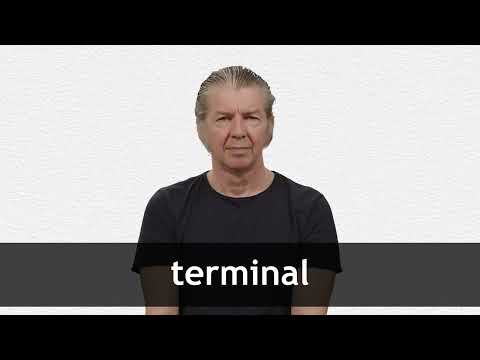 TERMINAL definition in American English | Collins English Dictionary
