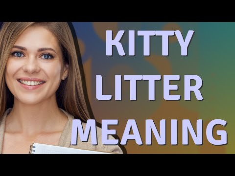 Kitty litter | meaning of Kitty litter