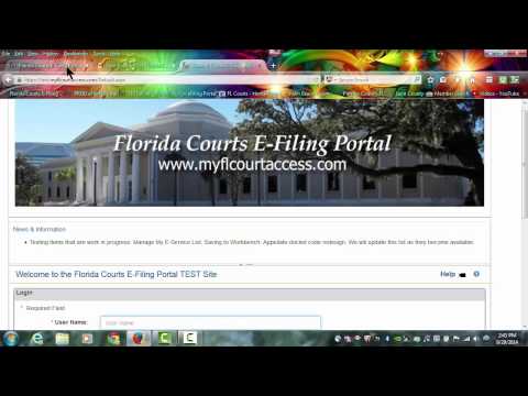 Florida Courts E-Filing Portal - Portal Administrator of Organization