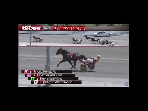 What a Pity, Kill “Mars Program” – Horseracing Wrongs