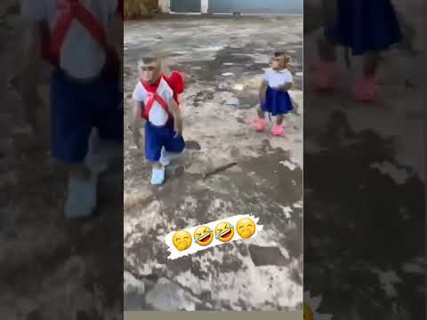 funny monkeys videos #shorts #shortsfeed#awwcontent