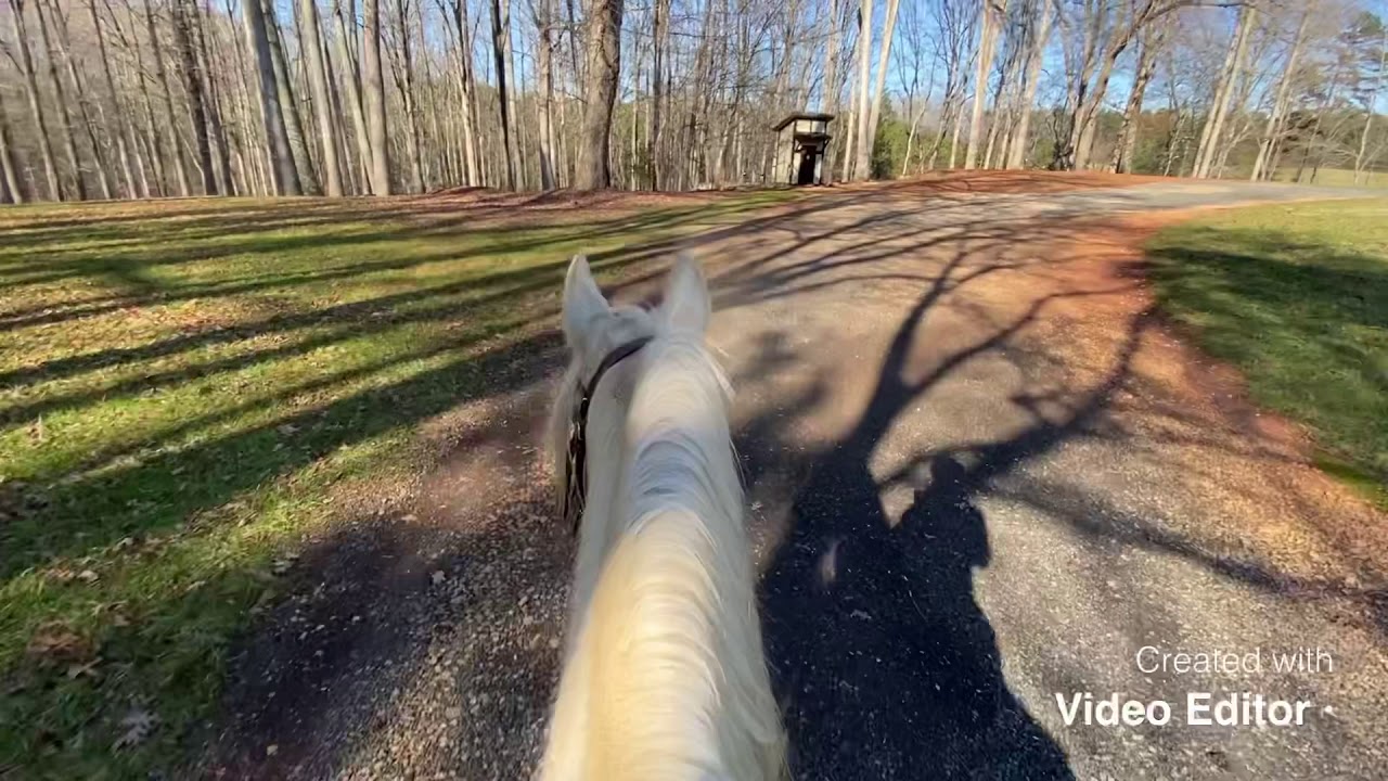 Jolly Jumper (aka JJ)