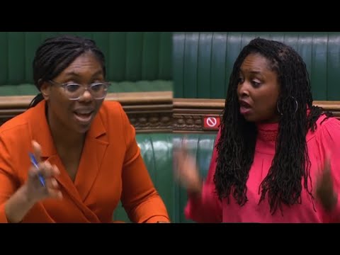 Minister slams ‘disgusting’ Dawn Butler for ‘stoking division’ on race