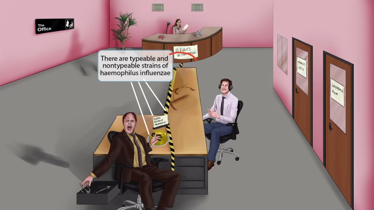 Haemophilus Influenzae for the USMLE Step 1