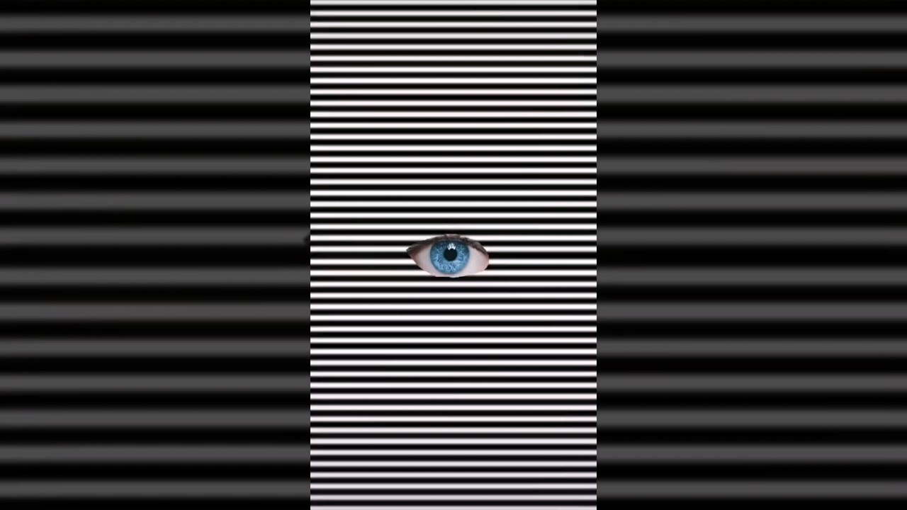 Monochrome Hypnosis: A Mesmerizing Black and White Illusion. #illustration #trippy #shortss