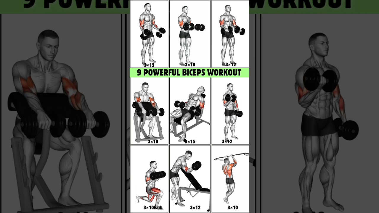 9 Powerfull Dumbbell Biceps Workout to Transform Arms | #workout #bicepsworkout