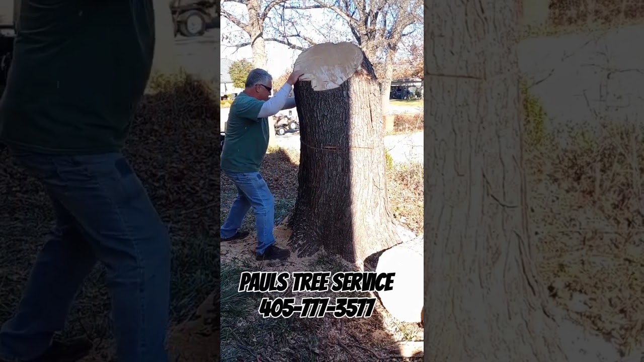 For free Quotes call Pauls Tree Service 405-777-3577