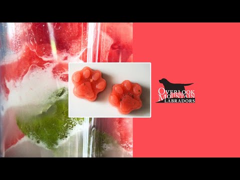 Watermelon and Coconut Pupsicles for Dogs