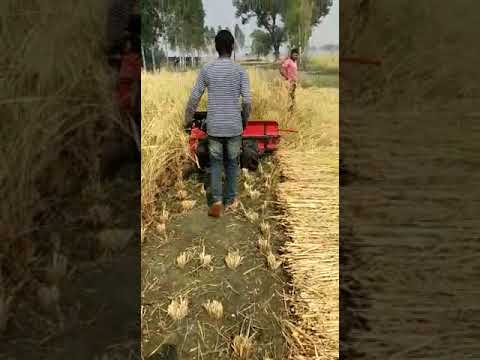 Paddy Reaper at Best Price in India