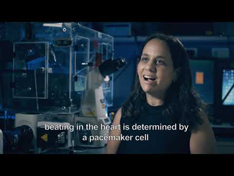 About Technion – eNaBLe Lab