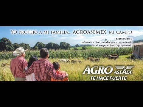 AGROASEMEX, Te Hace Fuerte | Agroasemex, S.A. | Gobierno | gob.mx