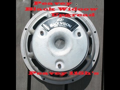 Upgreading the Peavey 115H's to Black Widdows