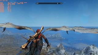 SKYRIM AIR at Skyrim Nexus - Mods and Community