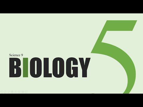Pulse Rate: Knowledge Catalog Grade 9 Biology #5