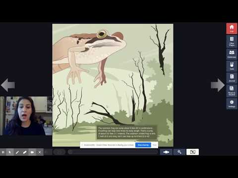 From Tadpole to Frog