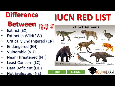 Difference Between Extinct Extinct in Wild Critically Endangered Endangered Vulnerable Near Threaten