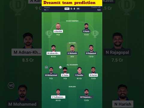 NRK vs SS tnpl dream11 team prediction || #dream11team #tnpl #shorts