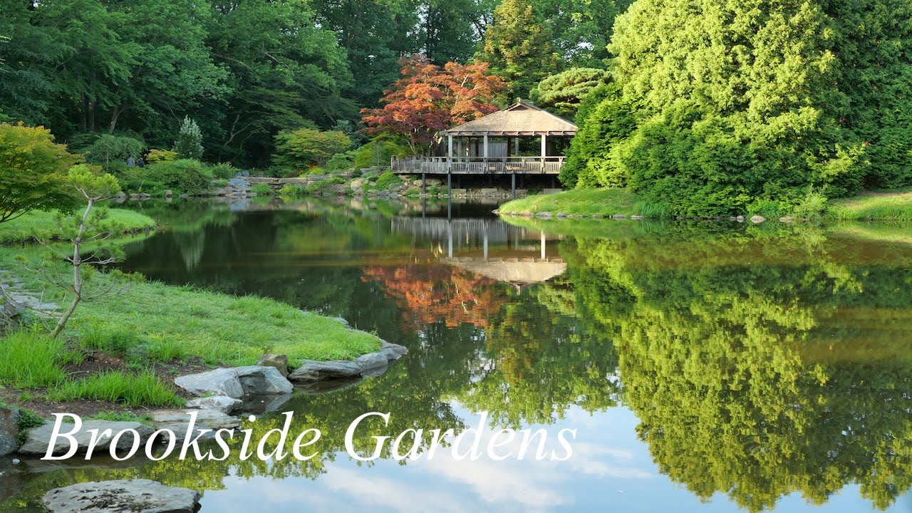 Brookside Gardens, Silver Spring, Maryland