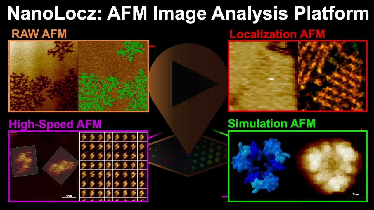 NanoLocz: Image Analysis Platform for AFM, High-Speed AFM, and Localization AFM