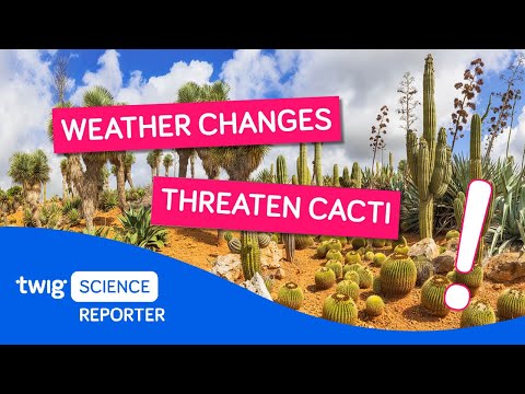 Twig Science: Climate Changes Even T…: English ESL video lessons