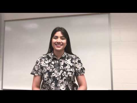 Portfolio – Nadia Persaud