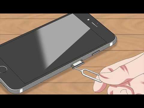 International Cell Phone Service