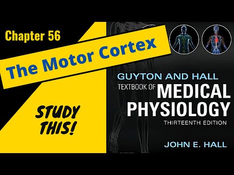 Guyton and Hall Medical Physiology (Chapter 56) REVIEW The Motor Cortex || Study This!