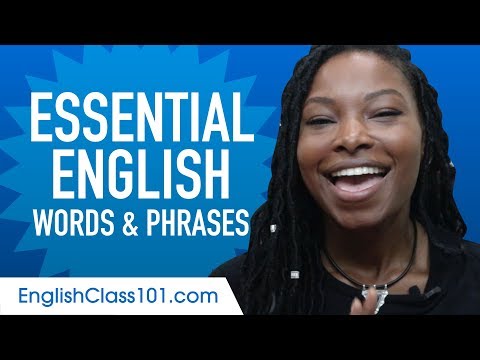 Essential English Words and Phrases to Sound Like a Native