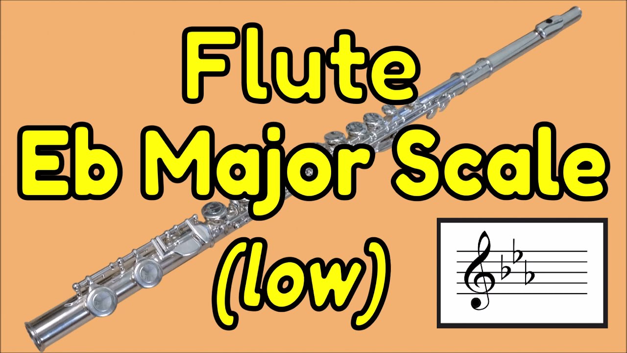Flute Scales   Eb low