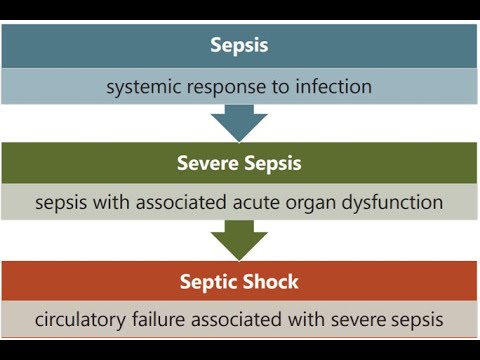 Sepsis, SIRS, Septic Shock ICD-10-CM Coding for CPC and CCS Exam