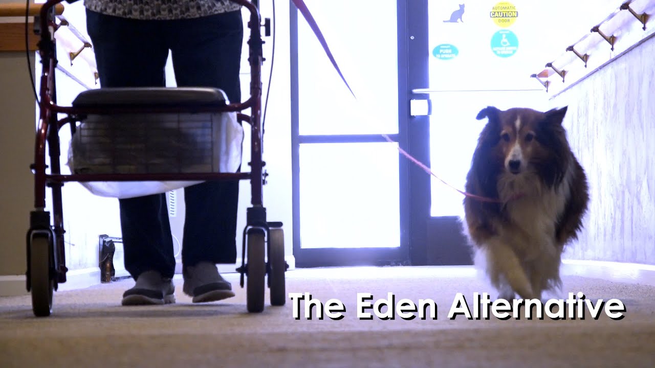 Eden Alternative