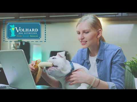 Can Dogs Eat Bananas?