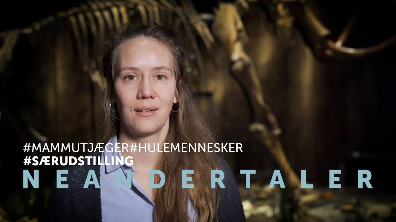 Istidsmennesket: Vår nærmeste slektning - Geo365
