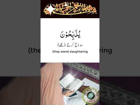 Words Meaning in Urdu/English From surah Al-Baqarah#trendingshorts #viral