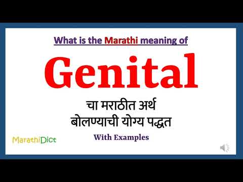 Genital Meaning in Marathi | Genital म्हणजे काय | Genital in Marathi Dictionary |
