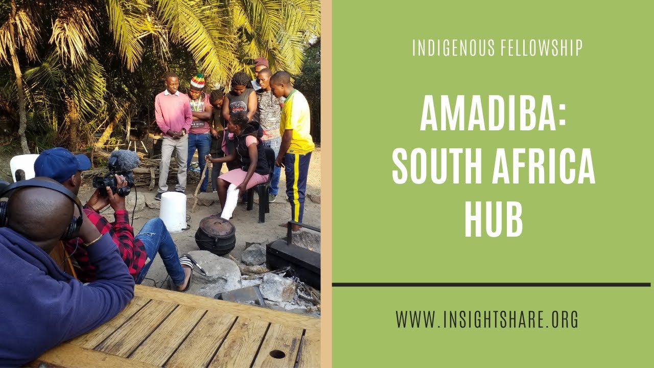 Amadiba Hub - InsightShare