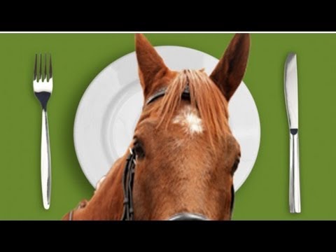 Slaughtering horses for meat could return to US