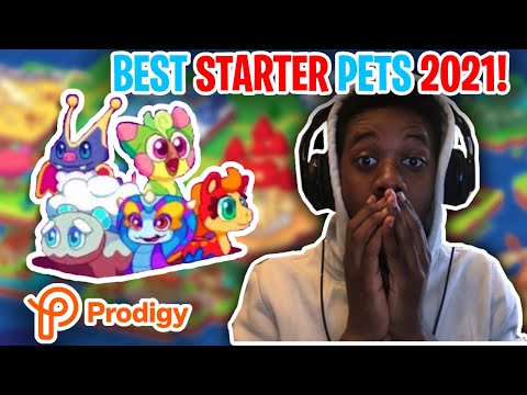 Best Starter Pet To Choose 2021!!