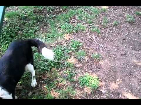video-2012-05-25-14-11-36.mp4