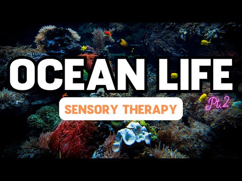 Ocean Life and Calming Sounds Therapy || Autism Sensory Therapy