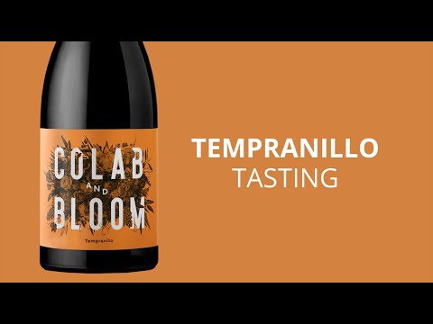Best Ways to Drink the Tempranillo | Colab and Bloom Wines