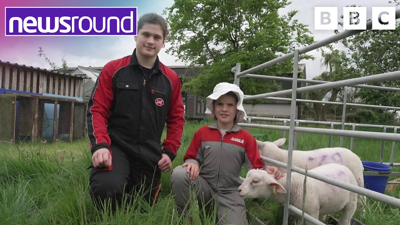 Farming: How is the wet weather impacting farming? | Newsround