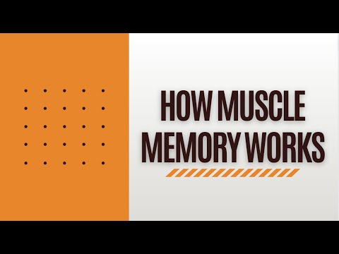 How Muscle Memory Works