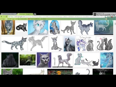 Warrior Cat Name Generators! :D (W/ Levi & Springy)